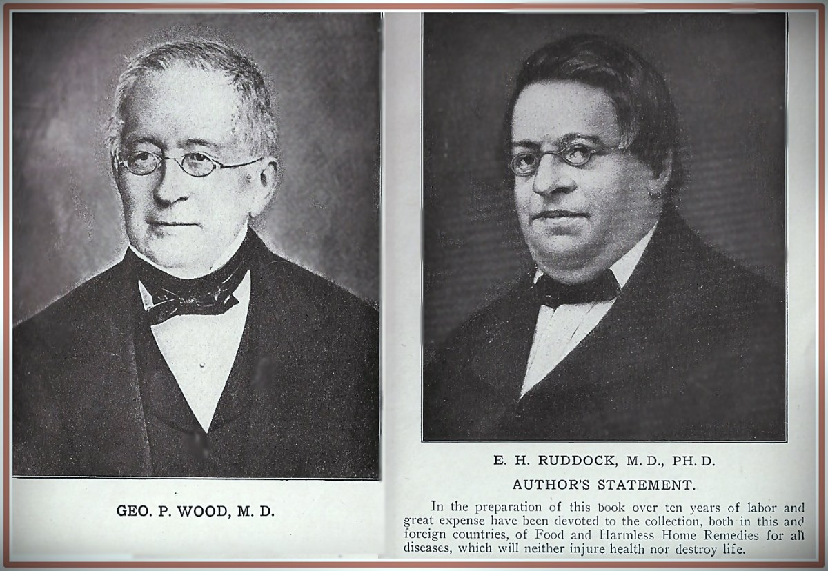 VITALOGY, Lesson the First: Baldness, and How Hair Indicates Your ...